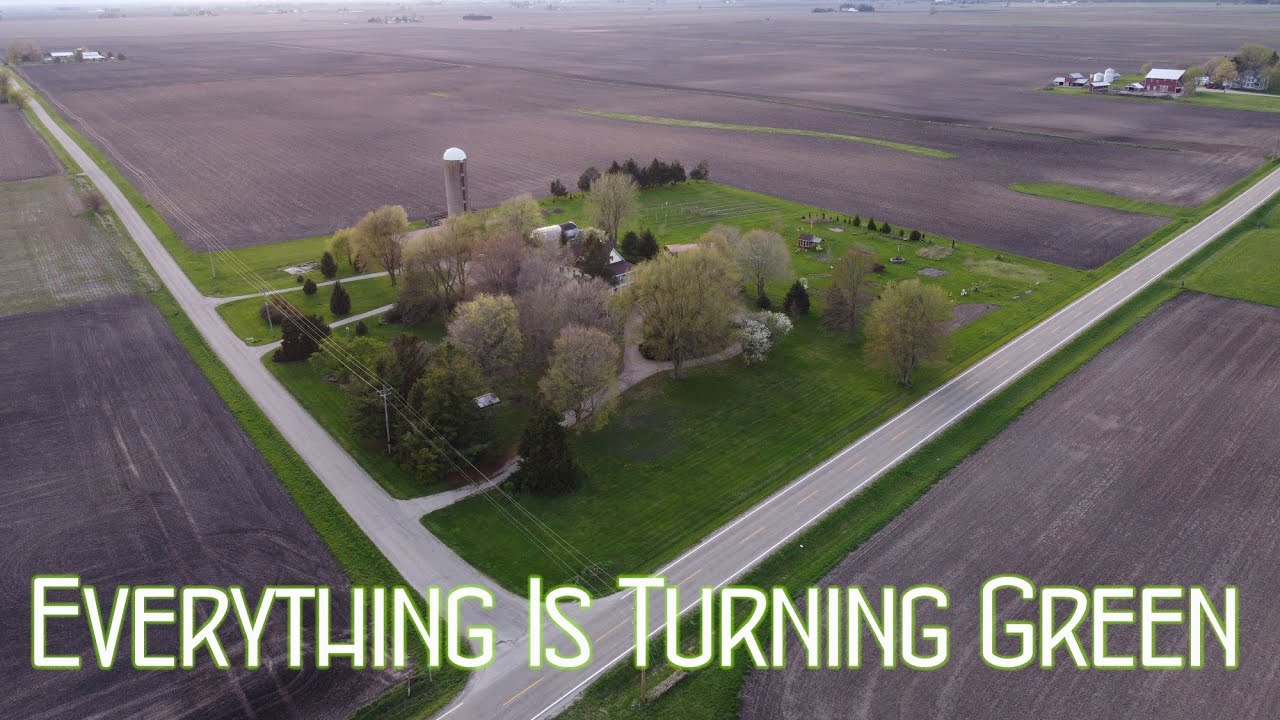 Everything Turning Green - YouTube