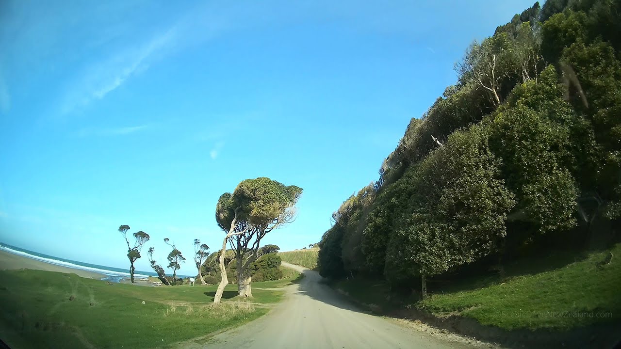 Driving Purakaunui Bay Road in the Catlins | Otago | New Zealand | 4K - YouTube