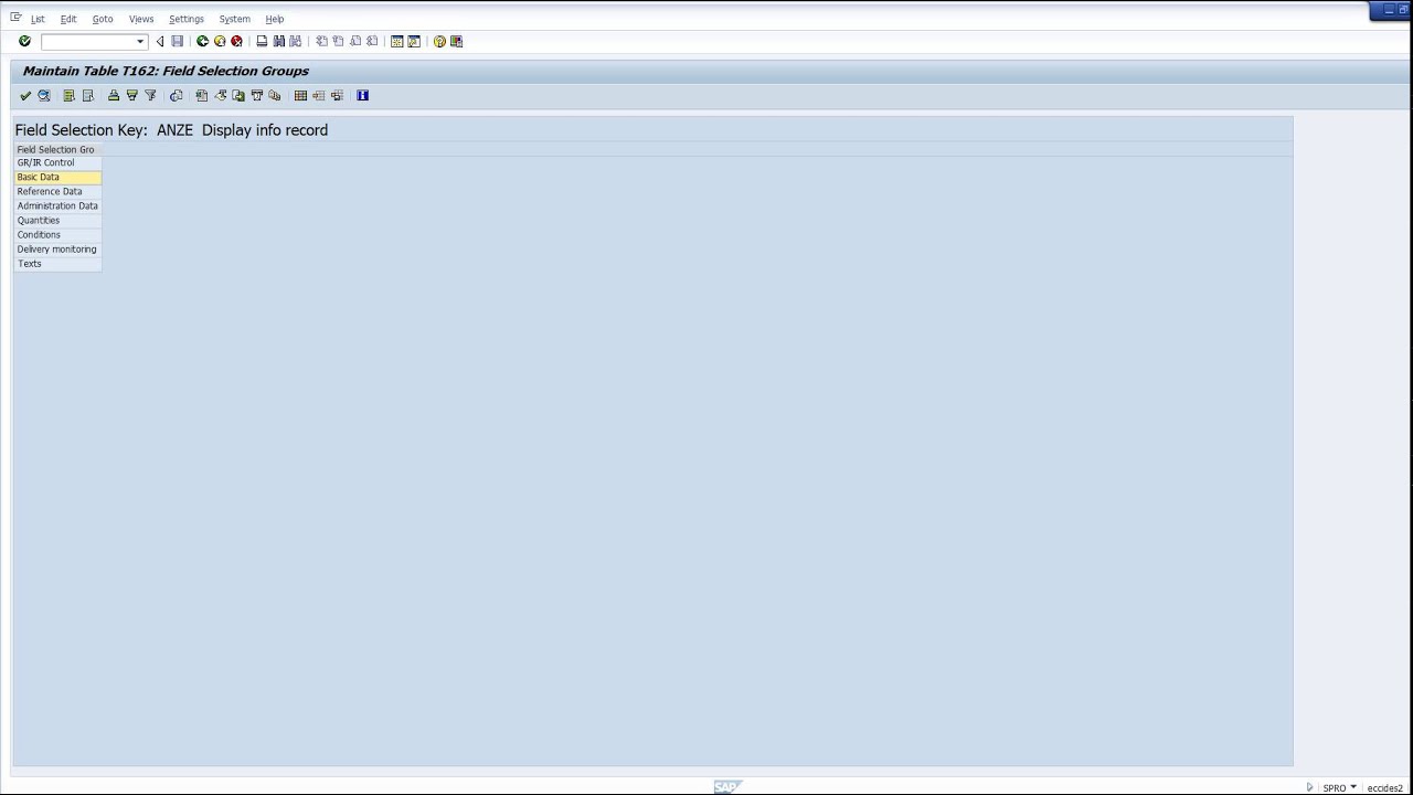 SAP Purchasing Information Record Screen Layout - YouTube