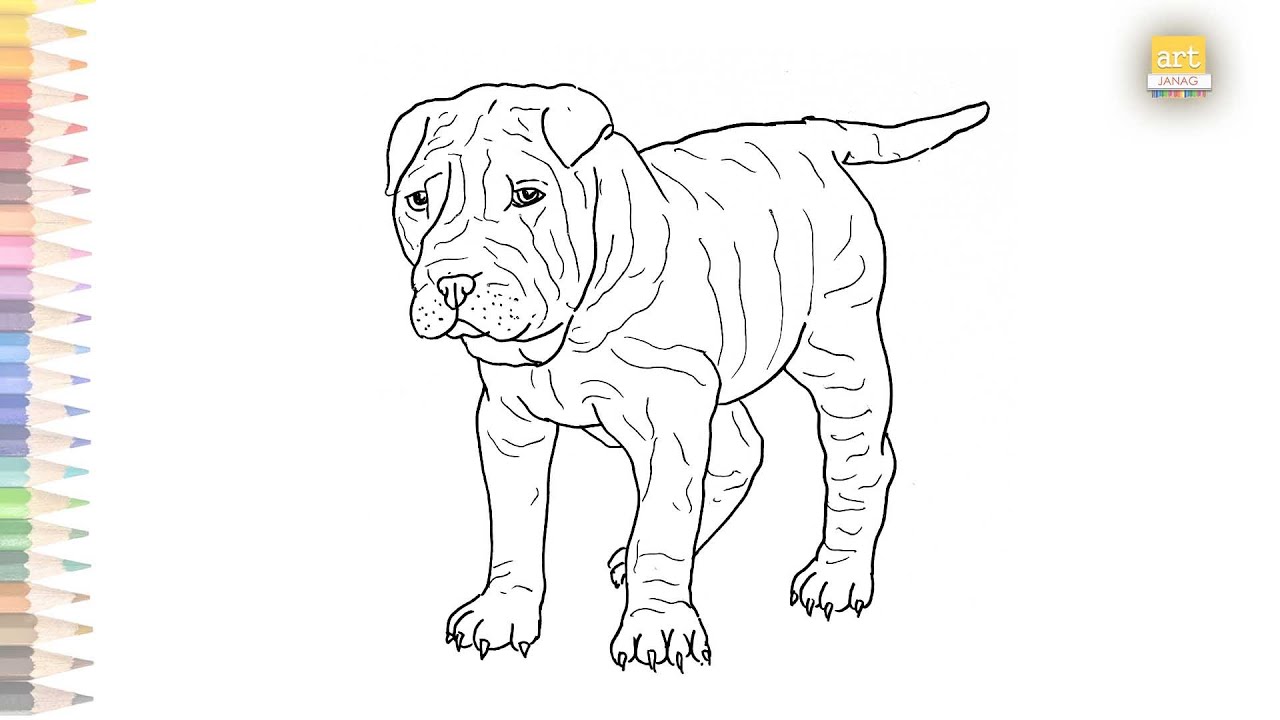 Shar pei dog drawing easy |How to draw Shar Pei dog breed step by step ...