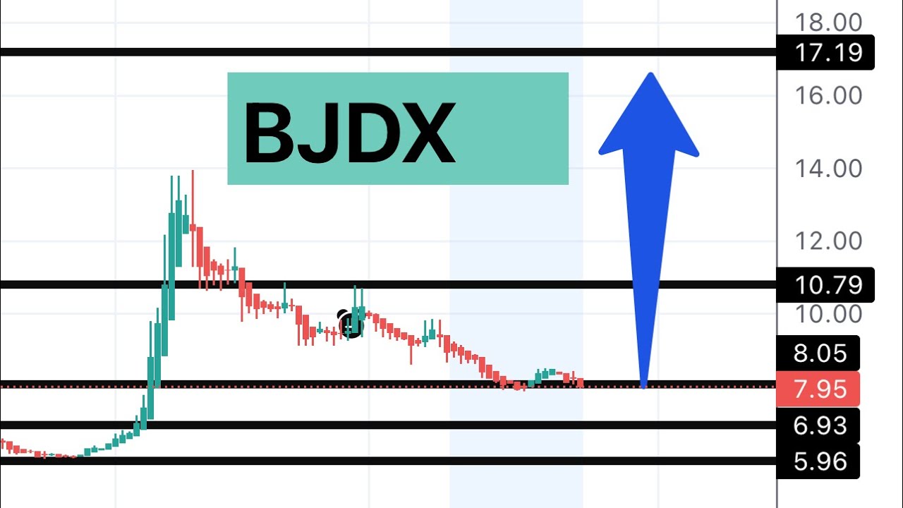 #BJDX 🔥 high reward high risk stock for big gain $BJDX - YouTube