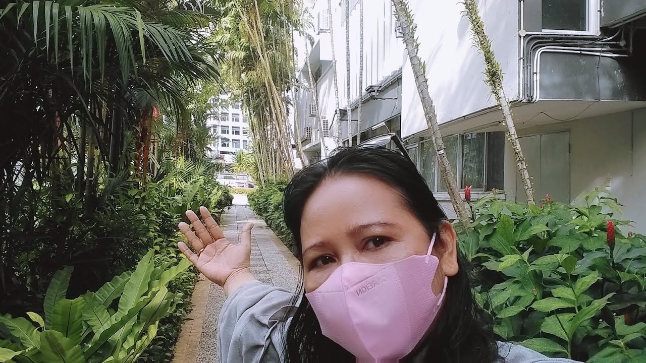 DITO NATIN MAKITA ANG MAYAYAMAN MONEY PLANTS AT BIRDNESS PLANTS - YouTube