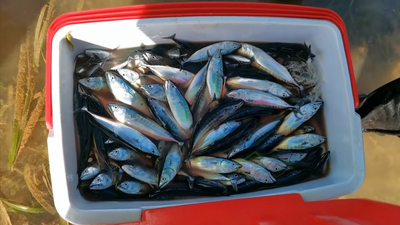 Binigyan ako ng pang ulam ng Fishing Brothers - YouTube