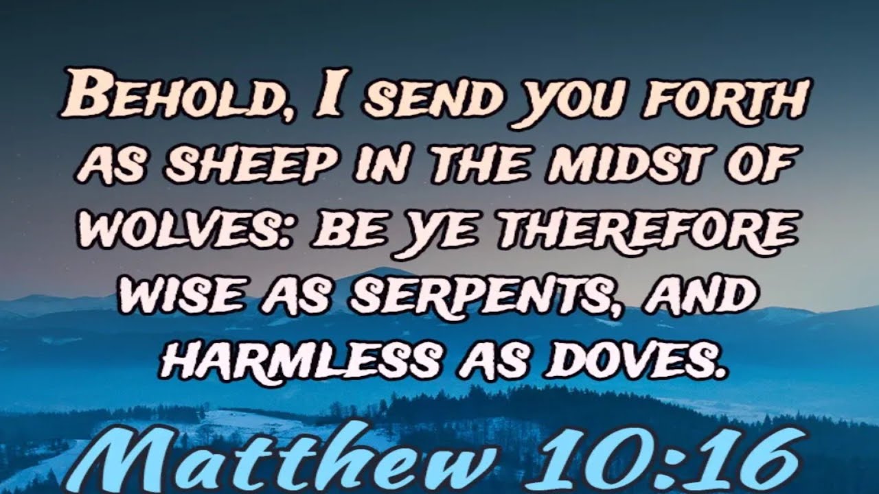BEHOLD, I SEND YOU FORTH AS SHEEP IN THE MIDST OF WOLVES: morning god's ...