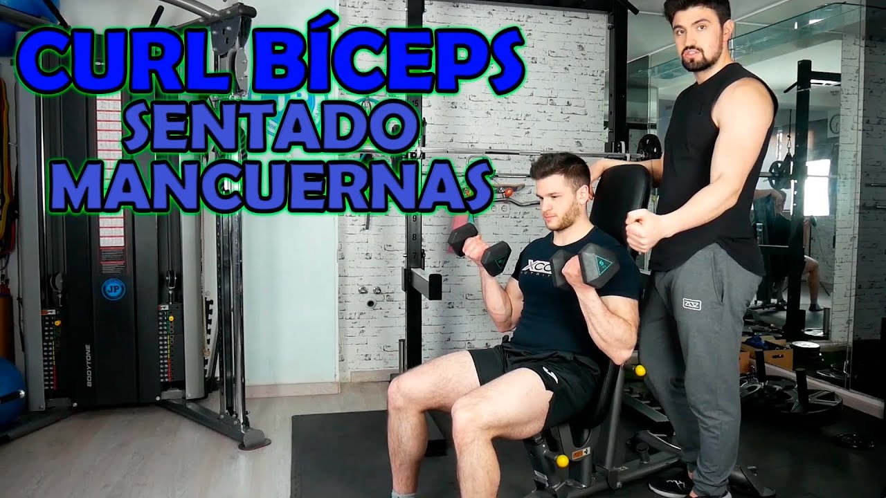 ️ Ejercicio CURL DE BICEPS SENTADO en BANCO con MANCUERNAS || Técnica ...