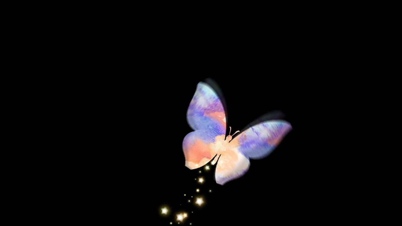 colorful butterfly black screen | black screen butterfly flying ...