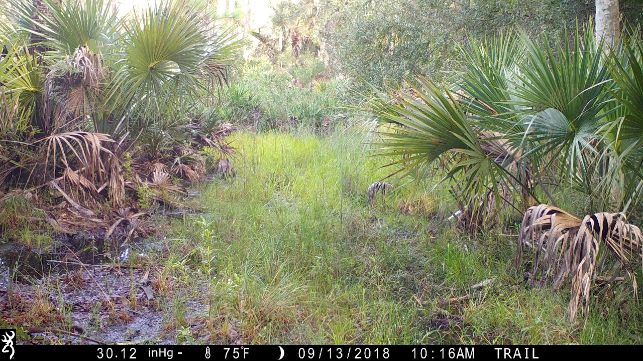 2018 Video Contest - Scott Kirsch, Florida - YouTube