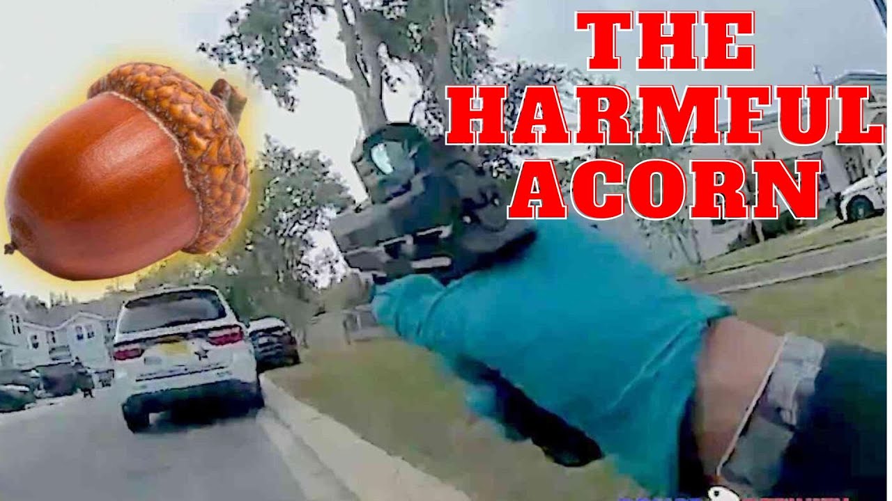 Florida Police Sh00t Man After Mistaking Falling Acorn for Gunsh0t ...