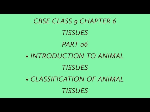 CBSE CLASS 9 CHAPTER 6 TISSUES| PART 6| ANIMAL TISSUES INTRODUCTION ...