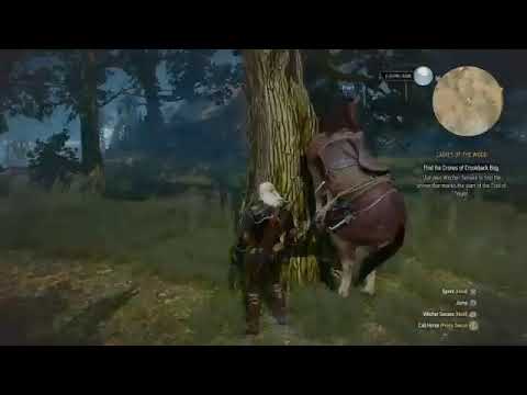 The Witcher 3 Wild Hunt Roach is being wierd - YouTube