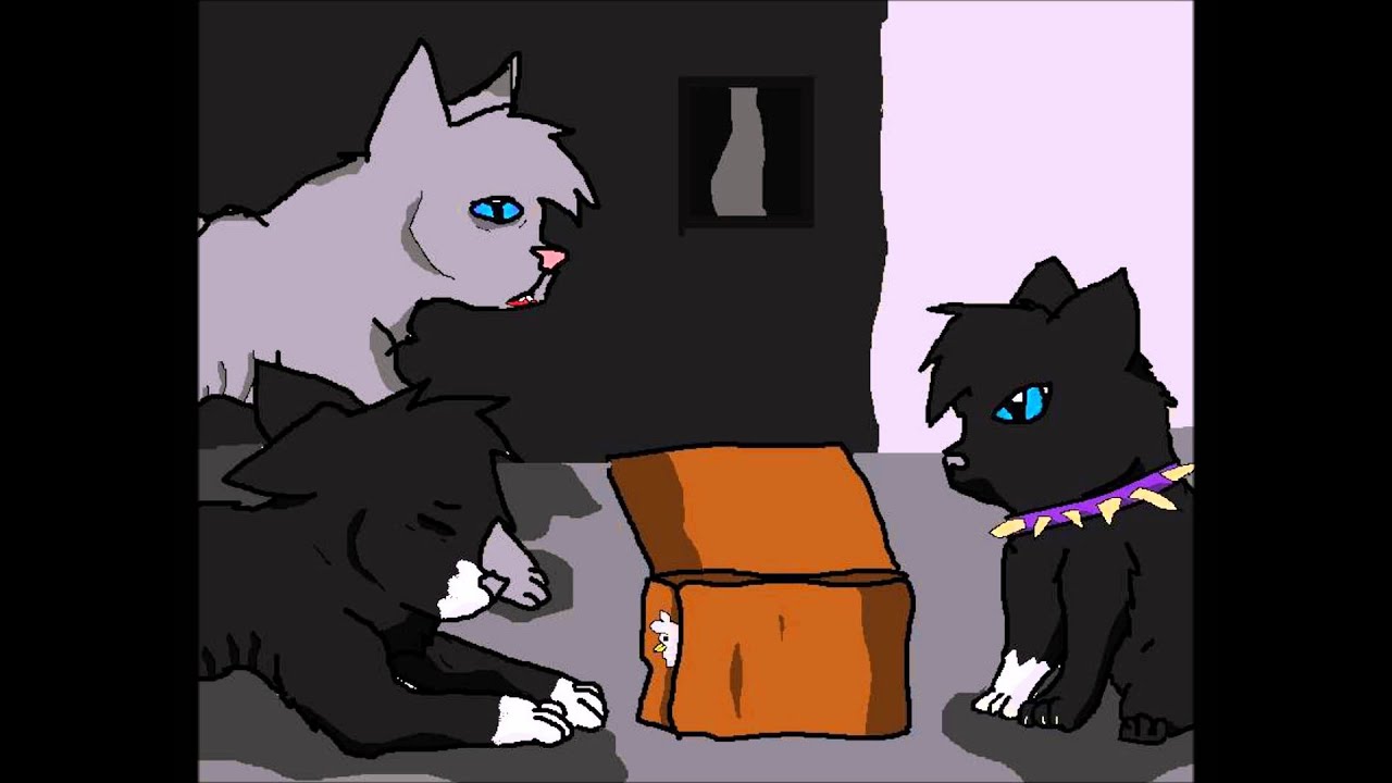 scourge complet history - YouTube