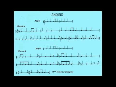 Andino