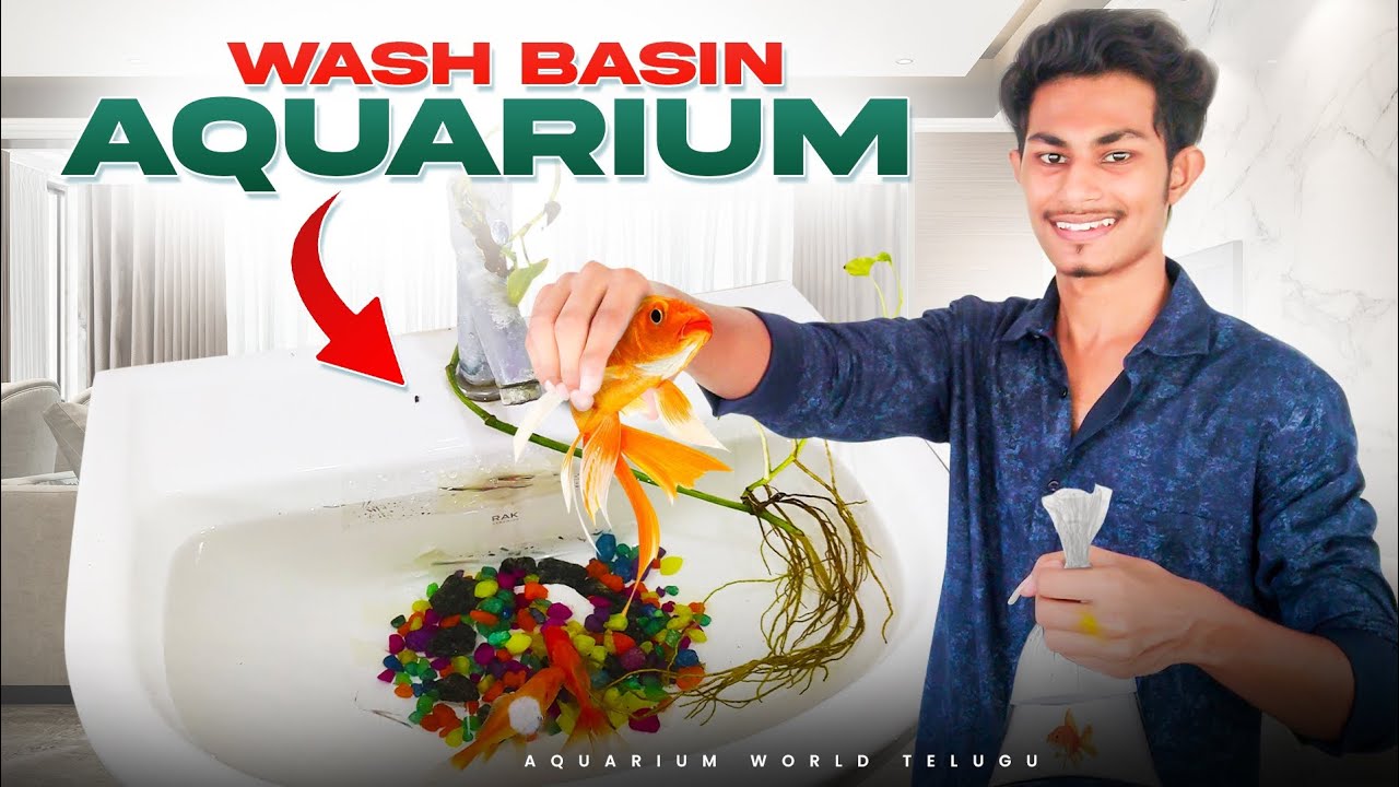 ft.*Wash Basin* Aquarium I Built to my GOLDFISH 🤩🐠💥 - YouTube