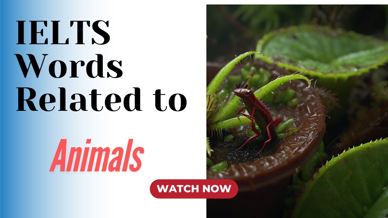 Top IELTS Words Related to Animals for Writing and Speaking - YouTube