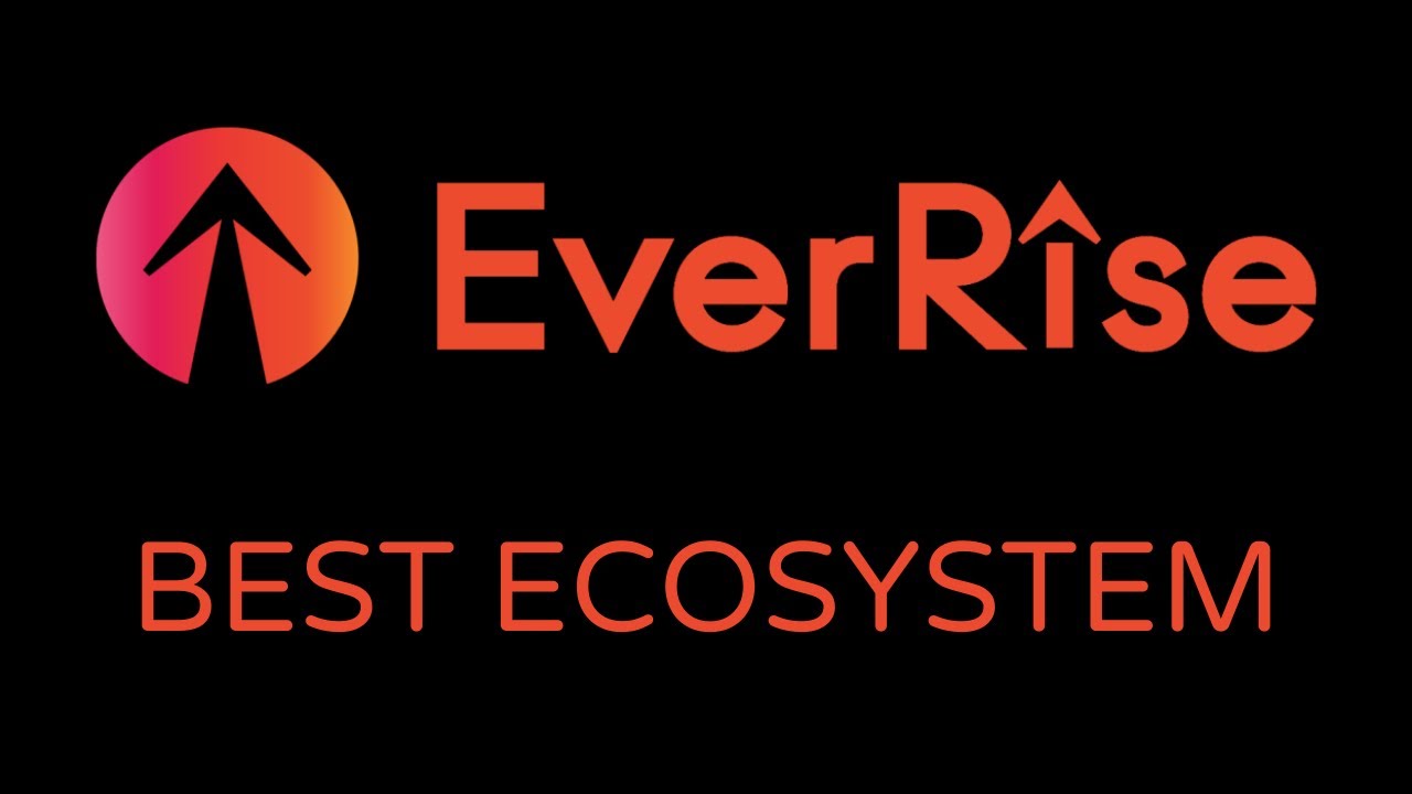 EverRise Project Review || The Best Ecosystem ?? - YouTube