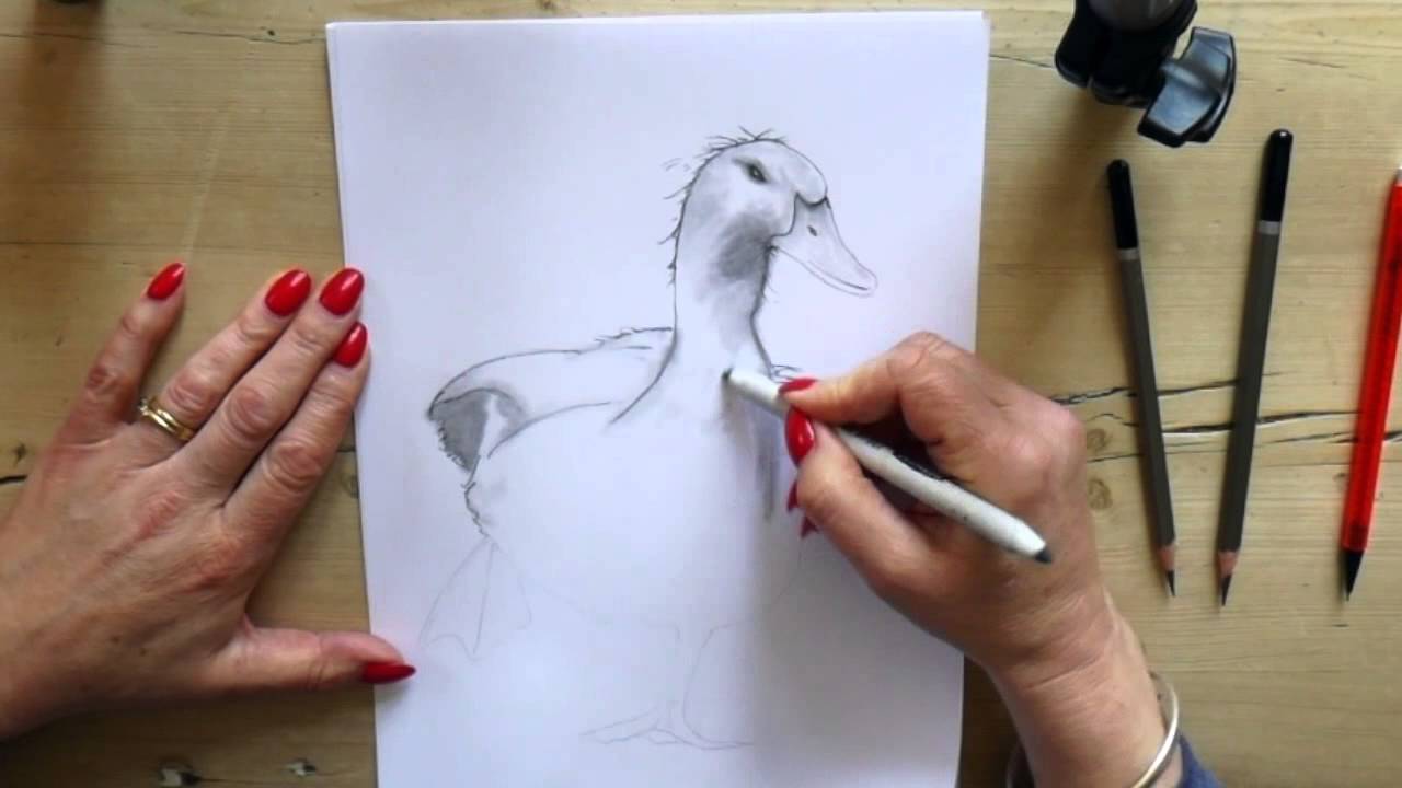 Drawing Jemima - YouTube