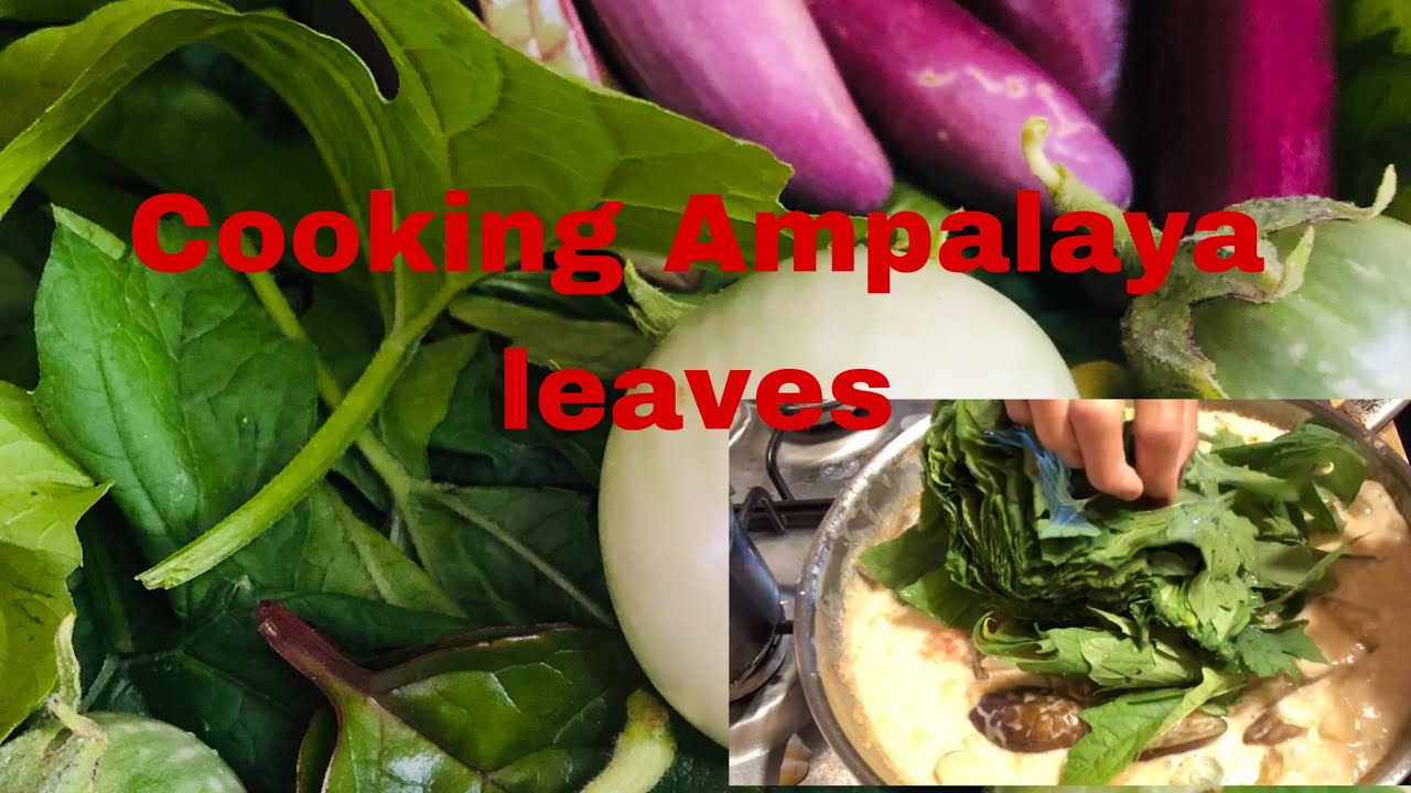 Cooking bitter melon Ampalaya leaves@MonangLanger - YouTube