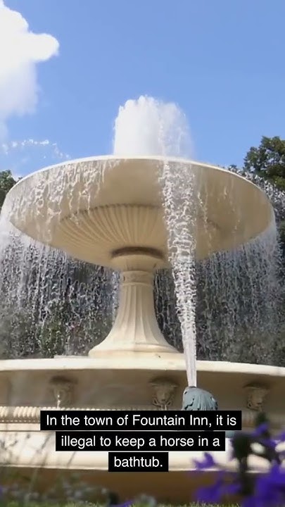 5 Weird Laws In South Carolina You Won’t Believe! Strange Laws Still On ...