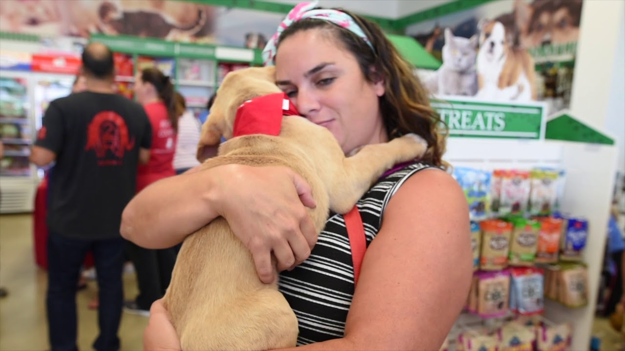 Why We Do What We Do..... Help Us Save More Lives www.sccrescue.org ...