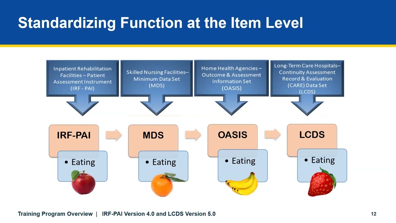 Training Program Overview - YouTube