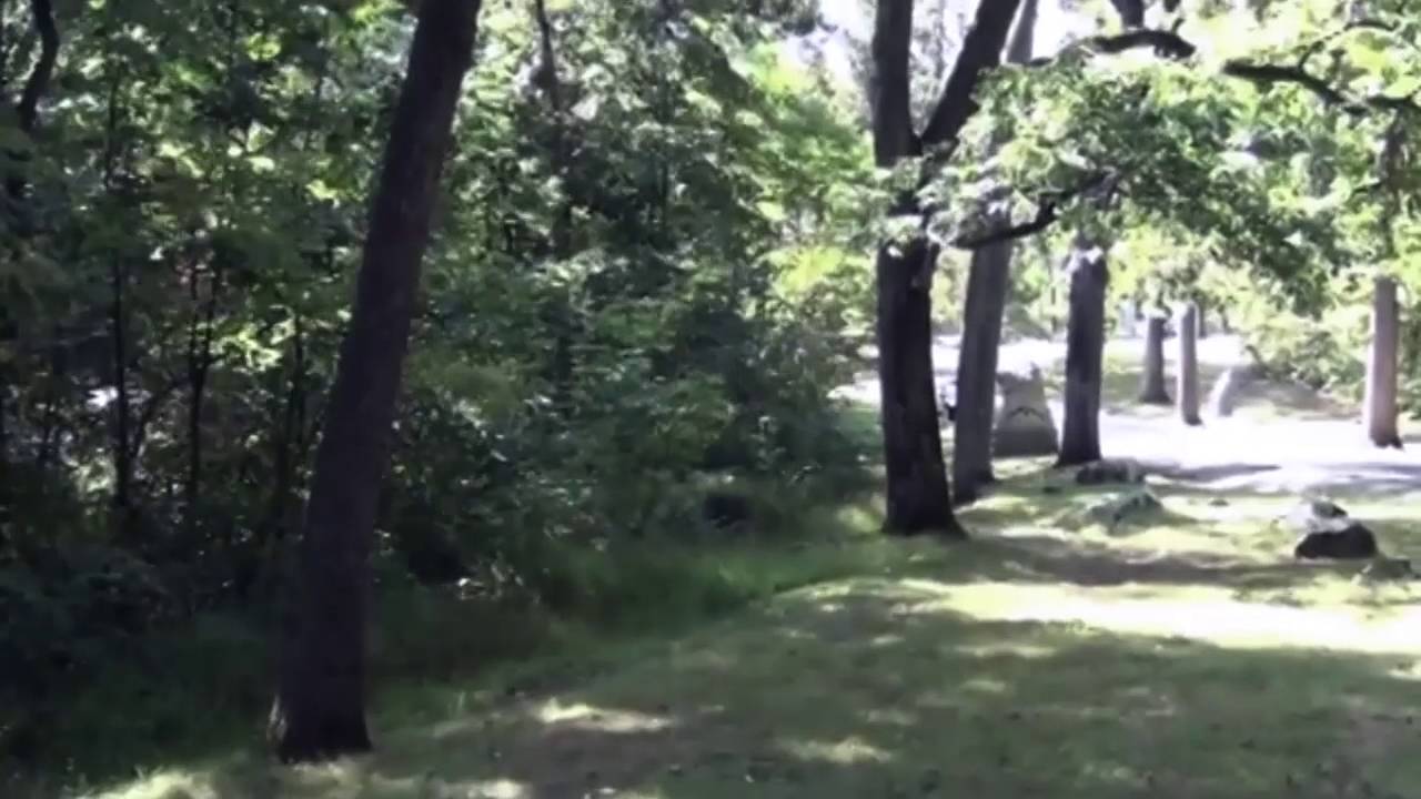 Scary Videos | gettysburg ghosts sightings | paranormal Activity ...