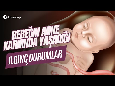Bebeğin Anne Karnında Yaşadığı Komik ve İlginç Durumlar