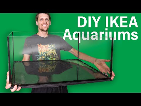 How To Make Your Own Aquarium Ecosystem