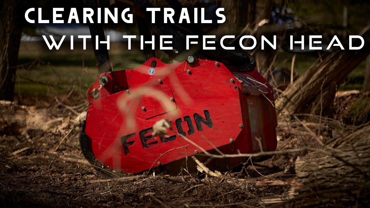 CLEARING TRAILS WITH FECON HEAD // Case Skid Steer with Fecon Head ...