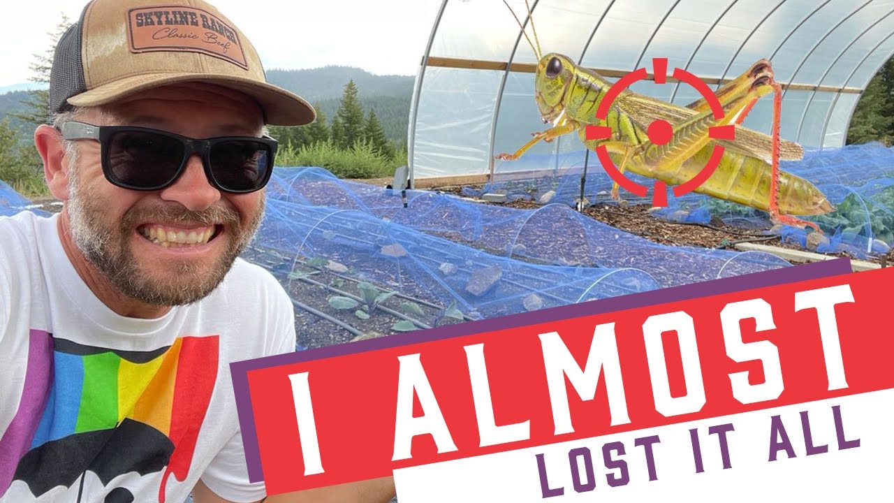 I Almost Lost It All - One Thing Saved Me! - YouTube