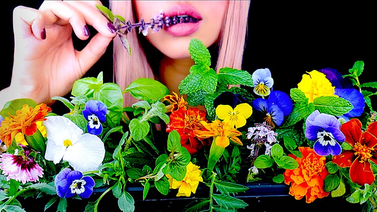 ASMR Edible Flower Garden, Dirt, Worms (Prank) Eating Sounds 먹방 - YouTube
