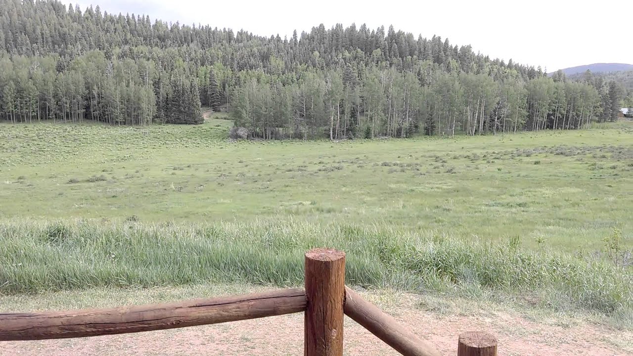 Mingus Ranch - YouTube