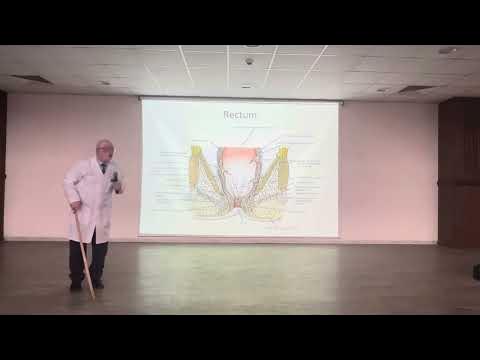 GIT-Anatomy lecture 11( part 1)-Rectum and anal canal - YouTube