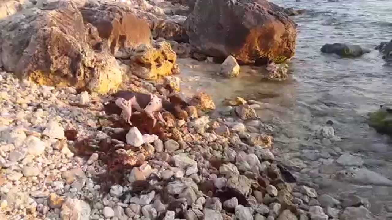 23 06 2015 - YouTube