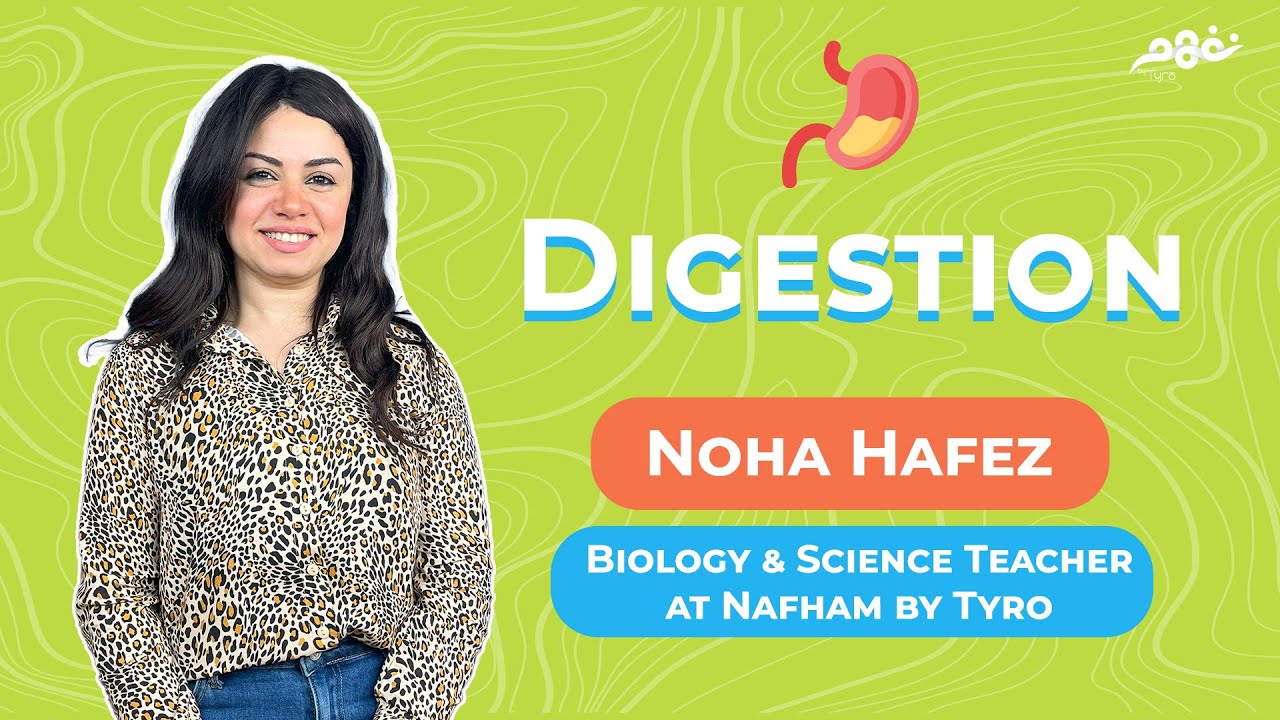 Nafham | Digestion - Noha Hafez - YouTube
