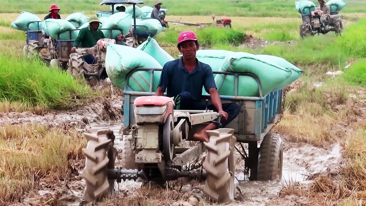 Many tractor transport rice across deep water canal | Best mini farming ...