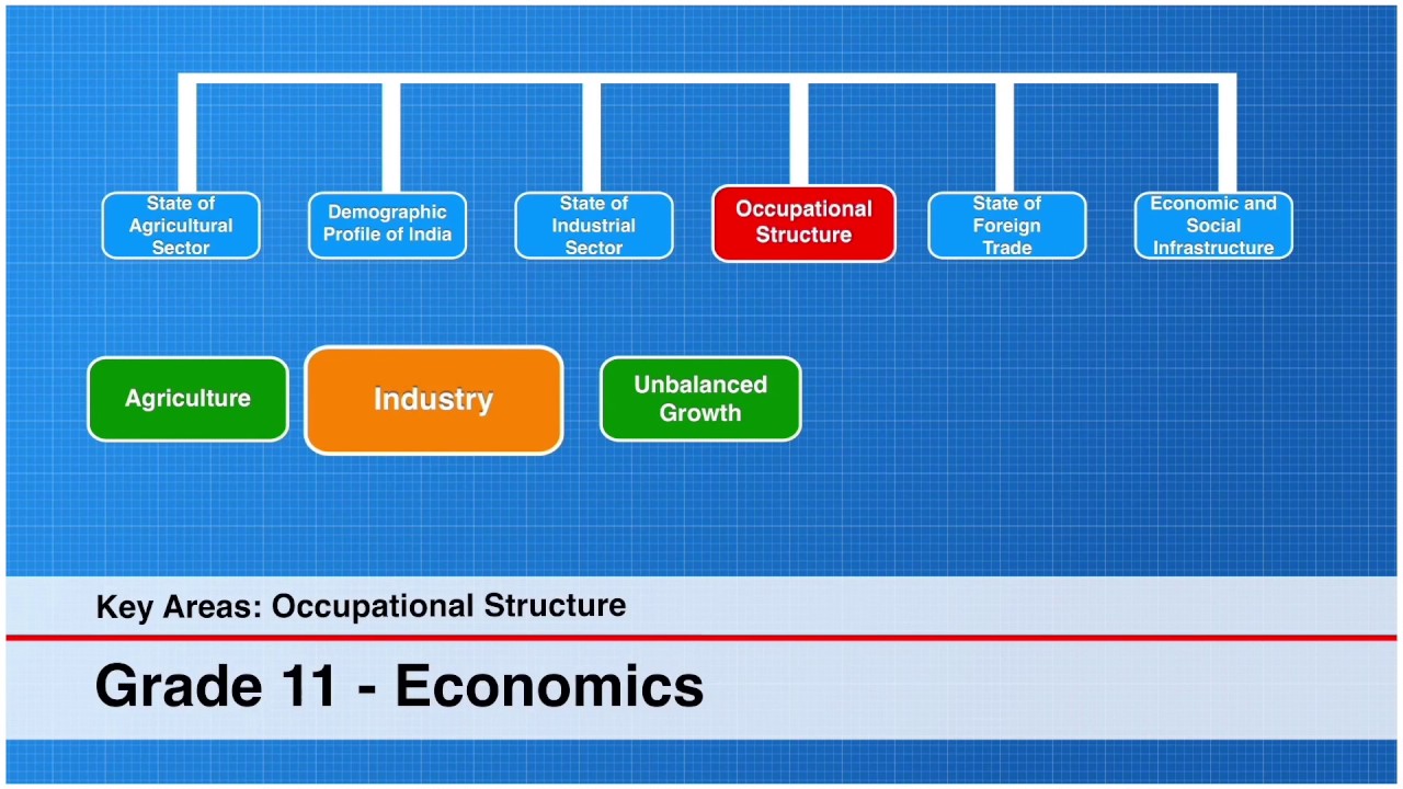 CBSE Economics - Grade 11 - Chapter 1 Lesson 6 - Occupational Structure ...