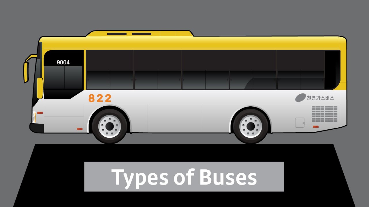 002 Types of buses - YouTube
