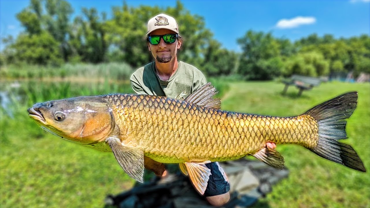 SURFACE Fishing MONSTROUS 60lb Grass Carp in a SUPER TINY POND! - YouTube