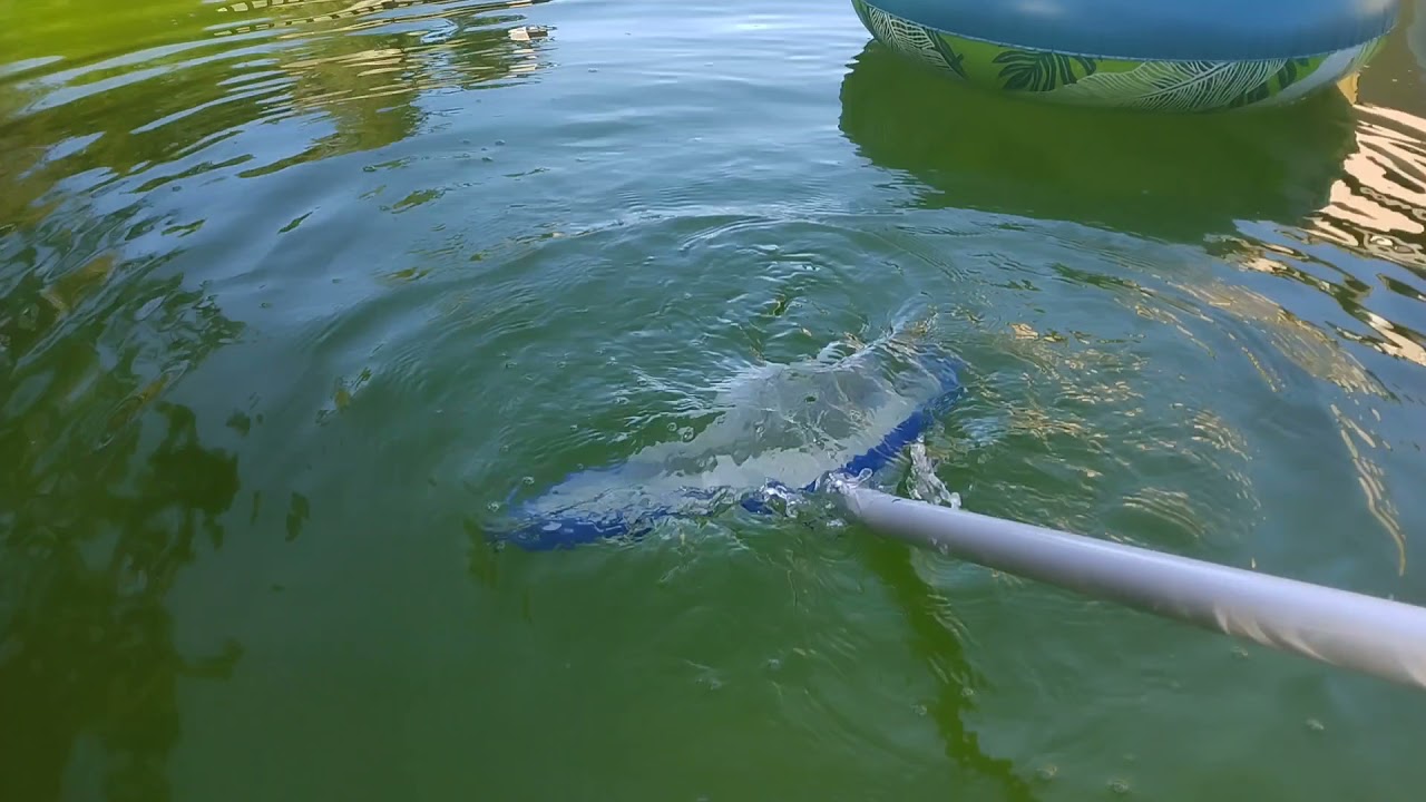 DROWNING SPAMTON IN BOG WATER - YouTube