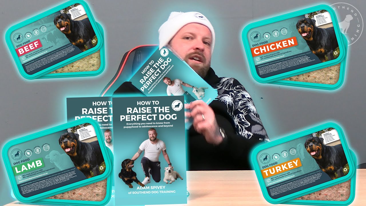 Southend Dog Training Podcast S03 E01 - Where have we been?!?! - YouTube