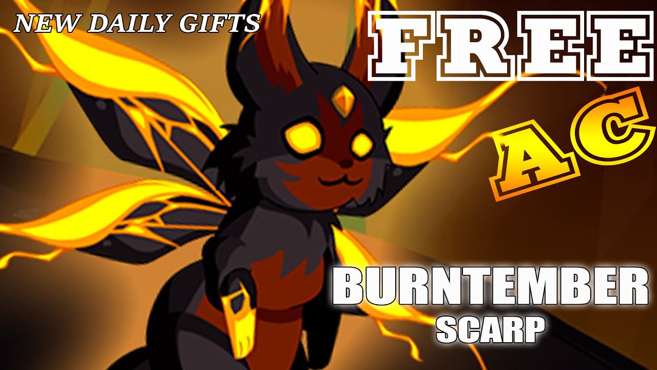 AQW NEW BURNT EMBER SCRAP RARE PET l BURNTEMBER SCRAP l DAILY GIFTS - YouTube
