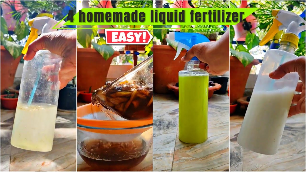 4 Easy and cheap homemade liquid fertilizer #youtube #diy - YouTube