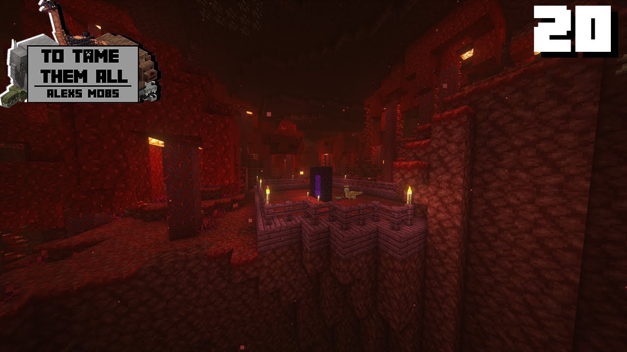 Transporting my pets across the Nether! | To Tame Them All (Alex's Mobs ...