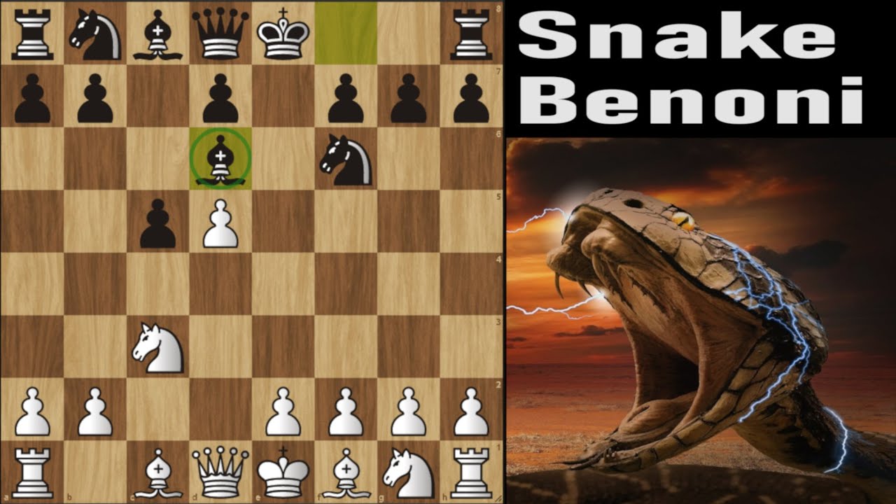 Snake Benoni || von beiden Seiten betrachtet - YouTube