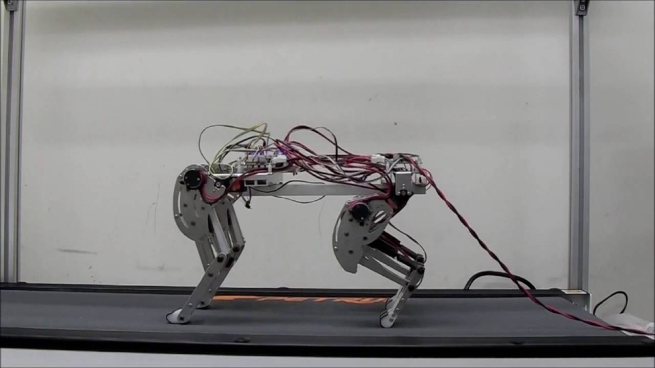 Development of A Small Quadruped Robot with Bi-articular Muscle-tendon ...