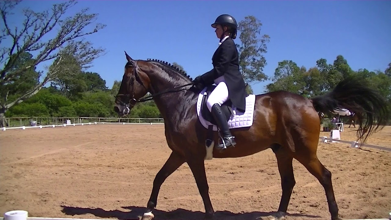MARIA EMILIA RIVALDO-CAMPEONATO GAUCHO DE ADESTRAMENTO BEVITO 2017 ...