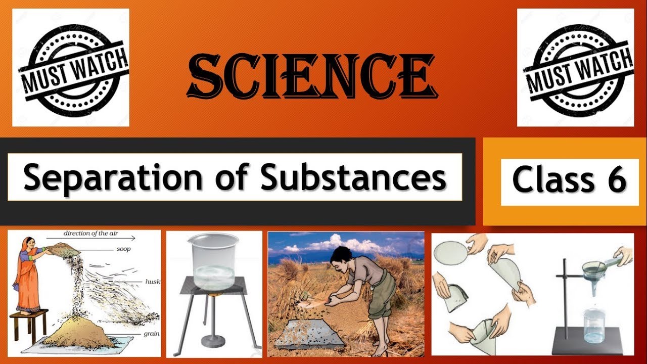Chapter 5 Science Class 6 Part 4 - YouTube