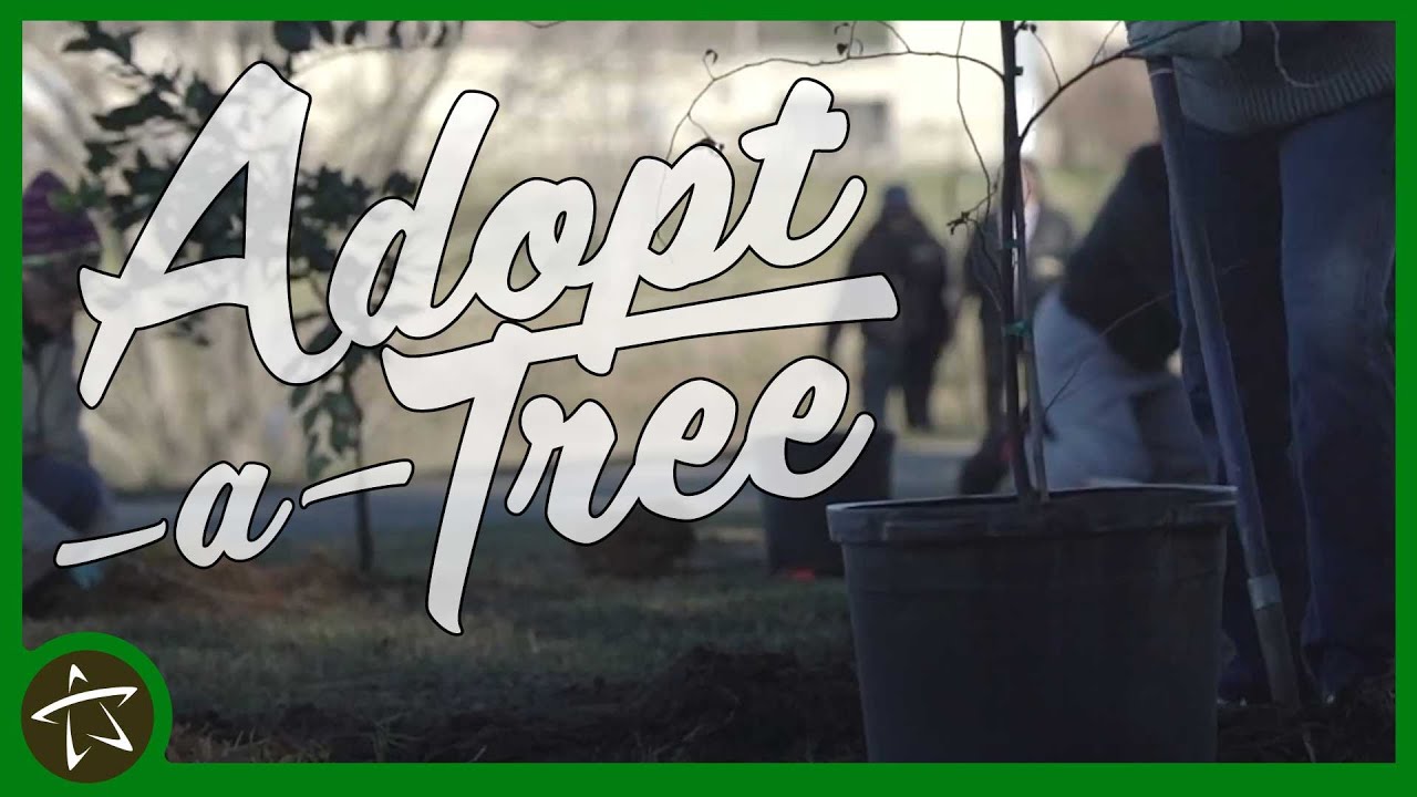 Adopt a Tree in Tallahassee - YouTube
