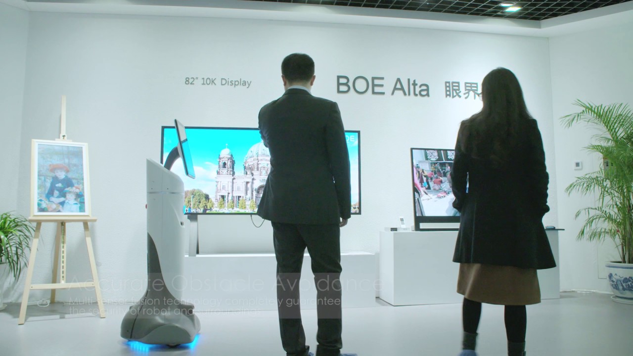 SINEVA - COMMERCIAL SERVICE ROBOT - YouTube