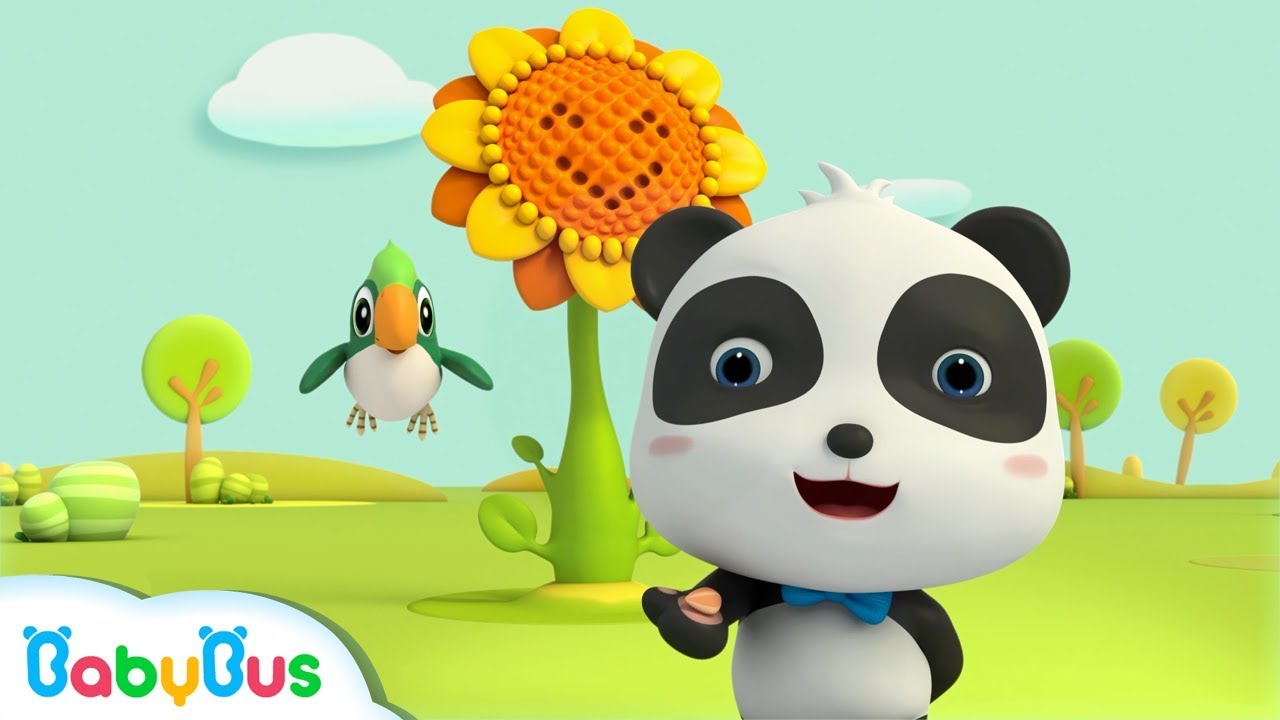 Little Panda Collects Sunflower Seed for Baby Bird | Plant a Magical ...